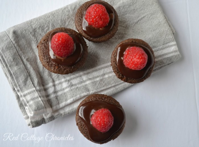 Two bite Mini Chocolate Raspberry Cupcakes with fresh raspberries