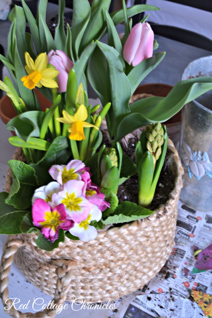Spring Flowers tucked into a wicker basket make the perfect centrepiece!