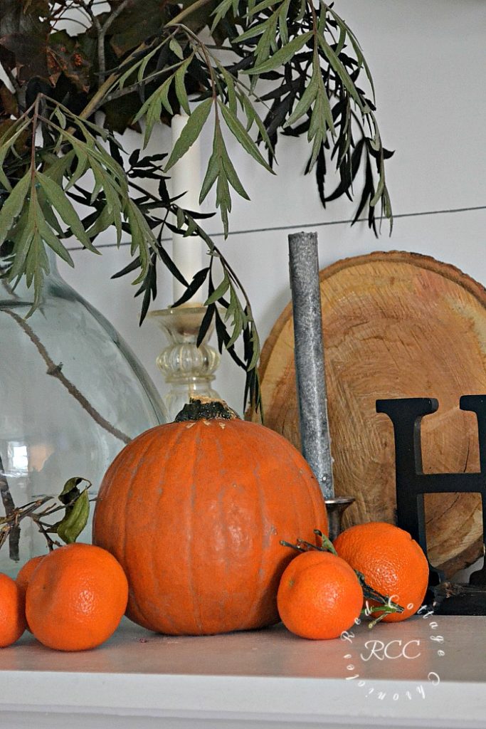 Easy Inexpensive Fruit and Flowers Autumn Mantel Ideas