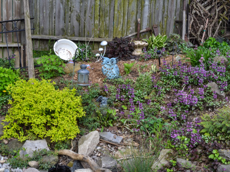 A Cozy Rustic Garden Collected Over Time - Red Cottage Chronicles